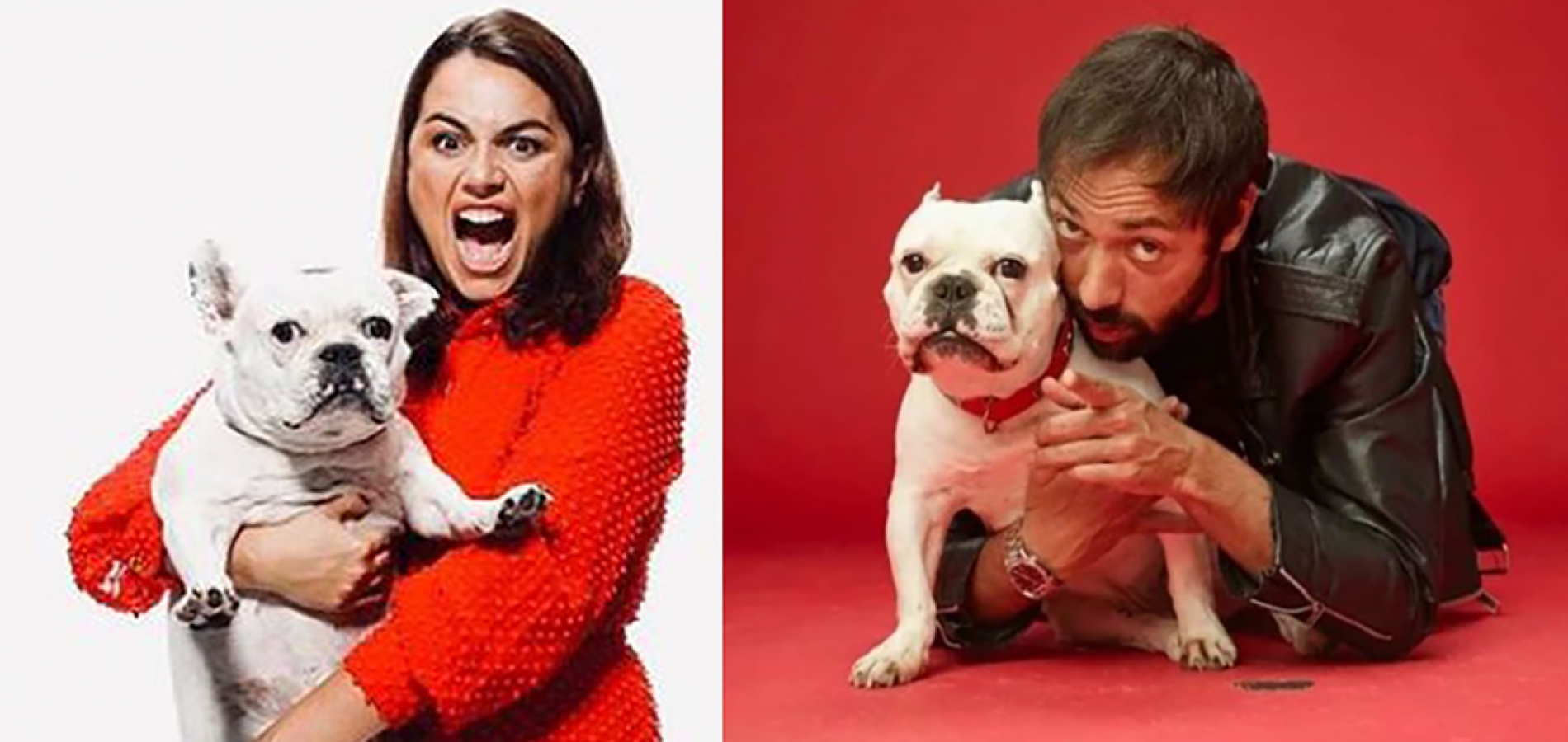Ana Guiomar e Diogo Valsassina celebram aniversário de Bart: "Cão fofo"