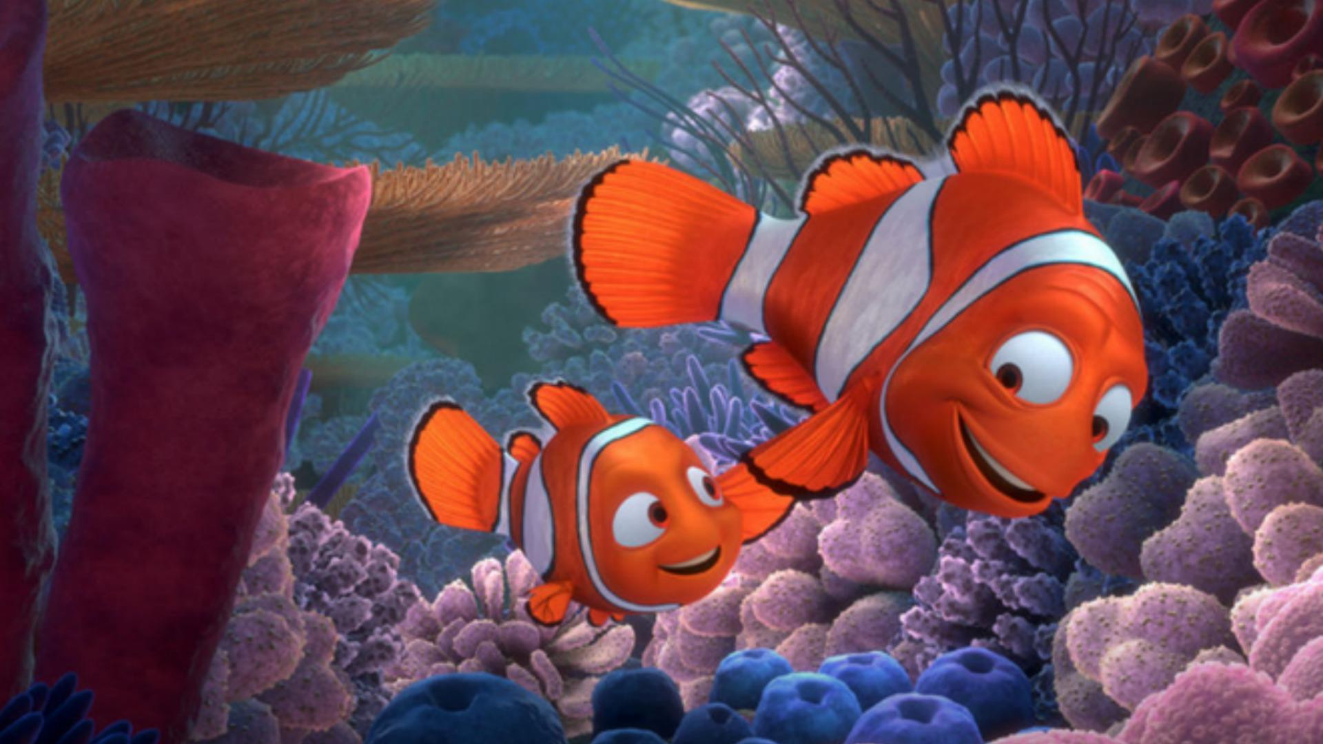 Visão | A vida está cada vez mais difícil para o Nemo