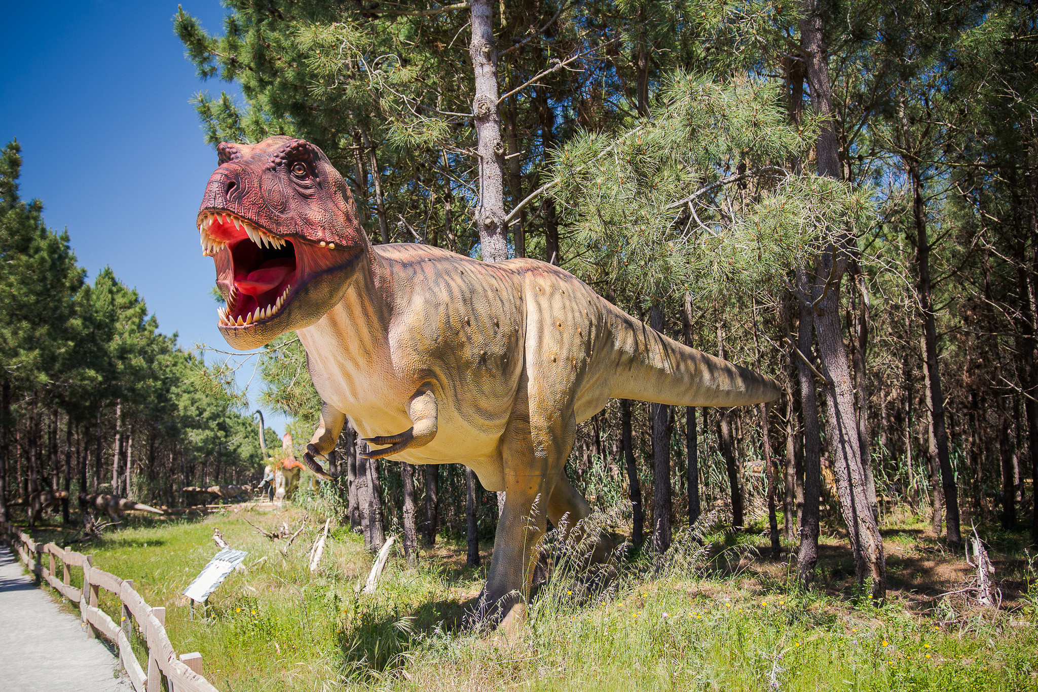 Visão | Dino Parque da Lourinhã: oferecemos-te o bilhete!