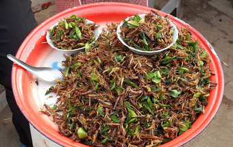 Visão | Cinco boas razões para comer... insetos