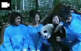 Visão | VÍDEO: Clube dos amigos do Panda
