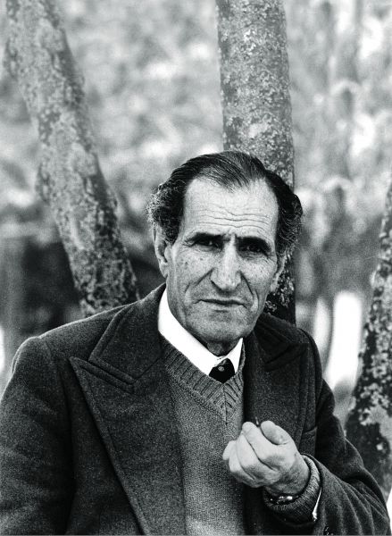 Visão | Cartas para Miguel Torga