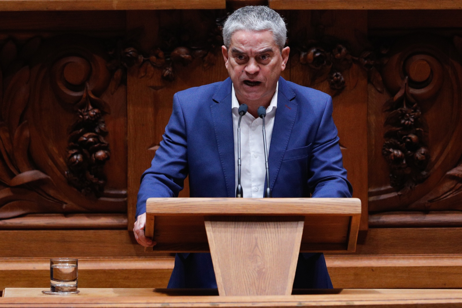 Visão | Partido Ecologista "os Verdes" abstém-se na votação final ...