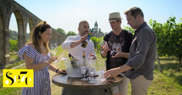 Visão | A terceira temporada de "The Wine Show" é um brinde a Portugal