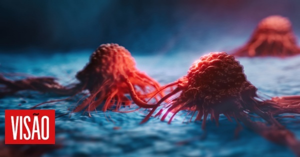 Visão | 11 respostas essenciais sobre o cancro