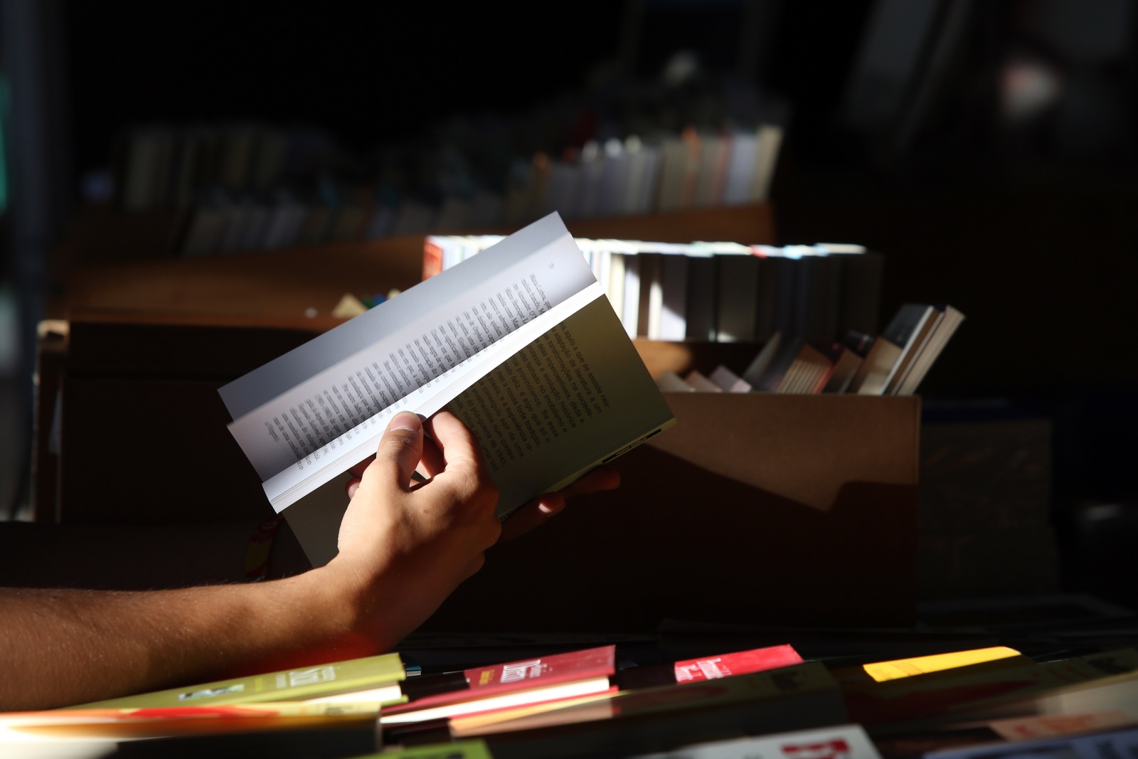 Visão | "Volta para tua terra" subverte agressão em poesia pela voz de ...