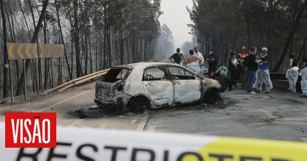 Visão | Pedrógão Grande: Nenhum país está preparado para a magnitude ...