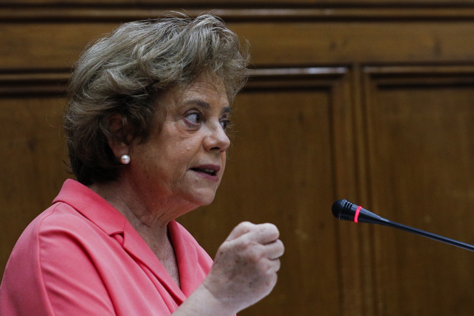 Visão | PSD propõe recondução de Maria Lúcia Amaral para Provedora de ...