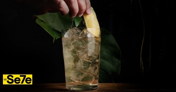 Visão | Why Not Soda: 4 receitas de cocktails frescos que pode (e deve ...