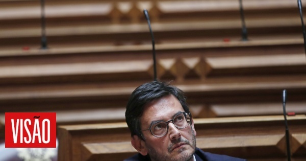 Visão | Rui Rocha propõe "continuidade do crescimento" da IL e quer ...