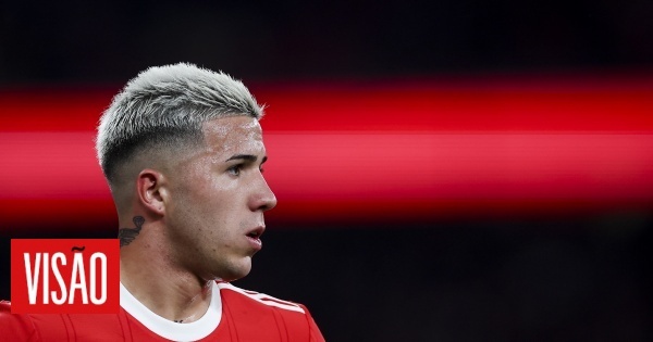 Visão | "Enzo recusou ficar até final da época mesmo sem perder um euro"
