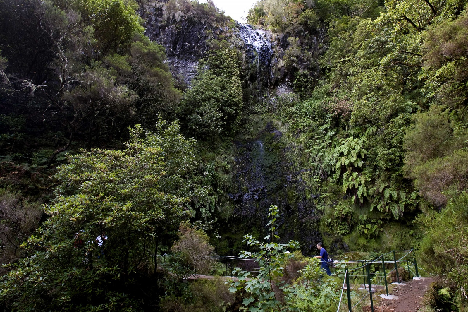 Visão | Madeira com mês de março mais quente de sempre e precipitação ...