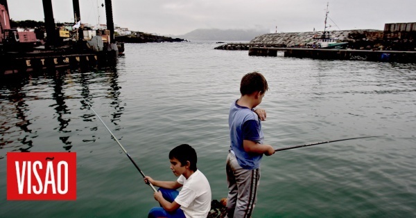 Visão | Mais de 32 mil crianças nos Açores apoiadas com complemento ao ... Visão | Mais de 32 mil crianças nos Açores apoiadas com complemento ao ...