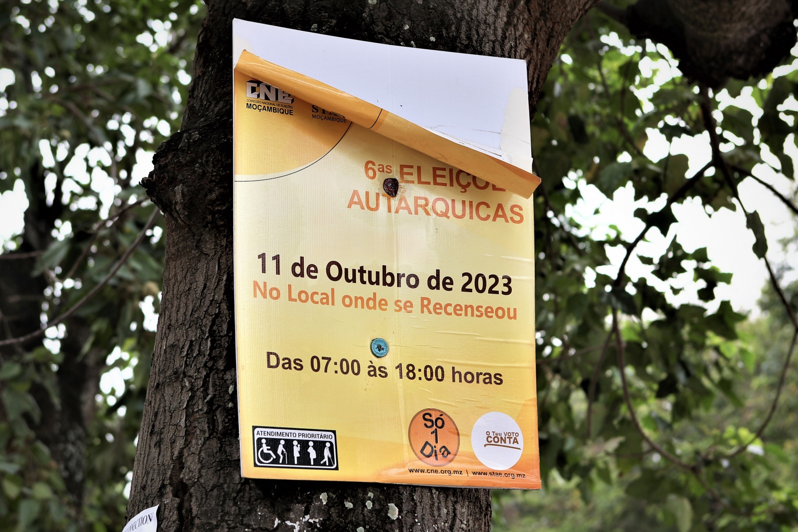 Visão | Conselho Constitucional de Moçambique proclama resultados das ...
