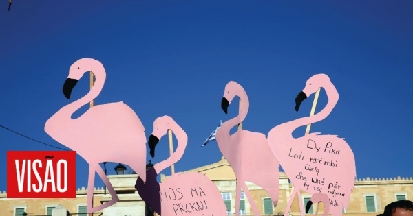 Visão | A Revolução dos Flamingos