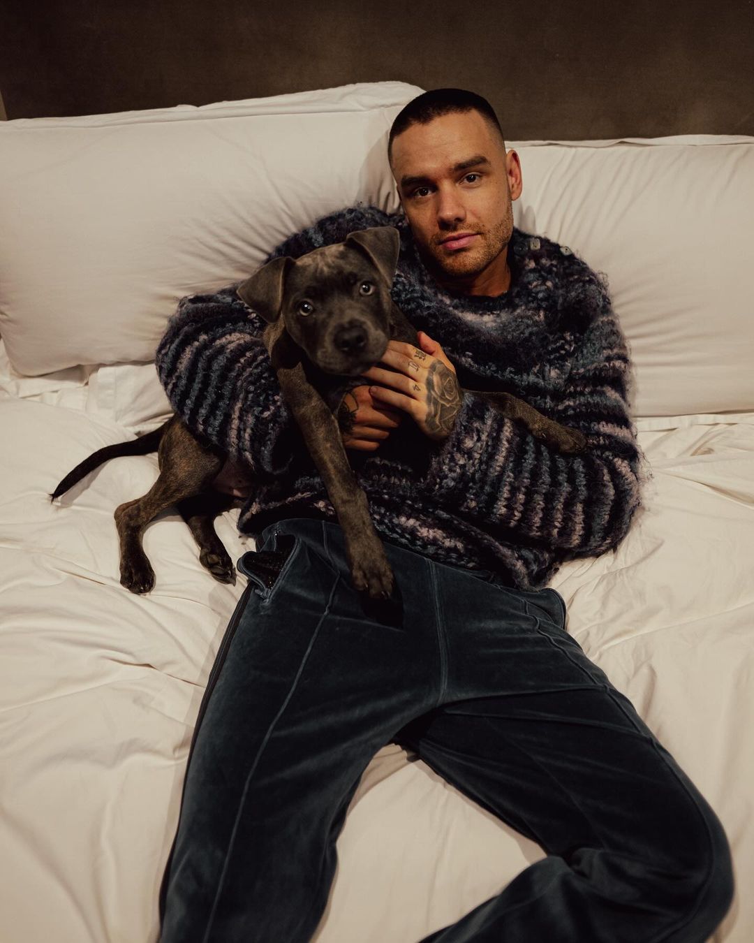 Morreu Liam Payne, ex-membro dos One Direction, aos 31 anos | Caras Morreu Liam Payne, ex-membro dos One Direction, aos 31 anos | Caras
