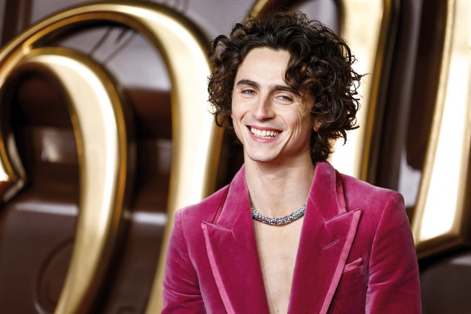 Caras | Timothée Chalamet: O rapaz franzino e andrógino que conquistou ...